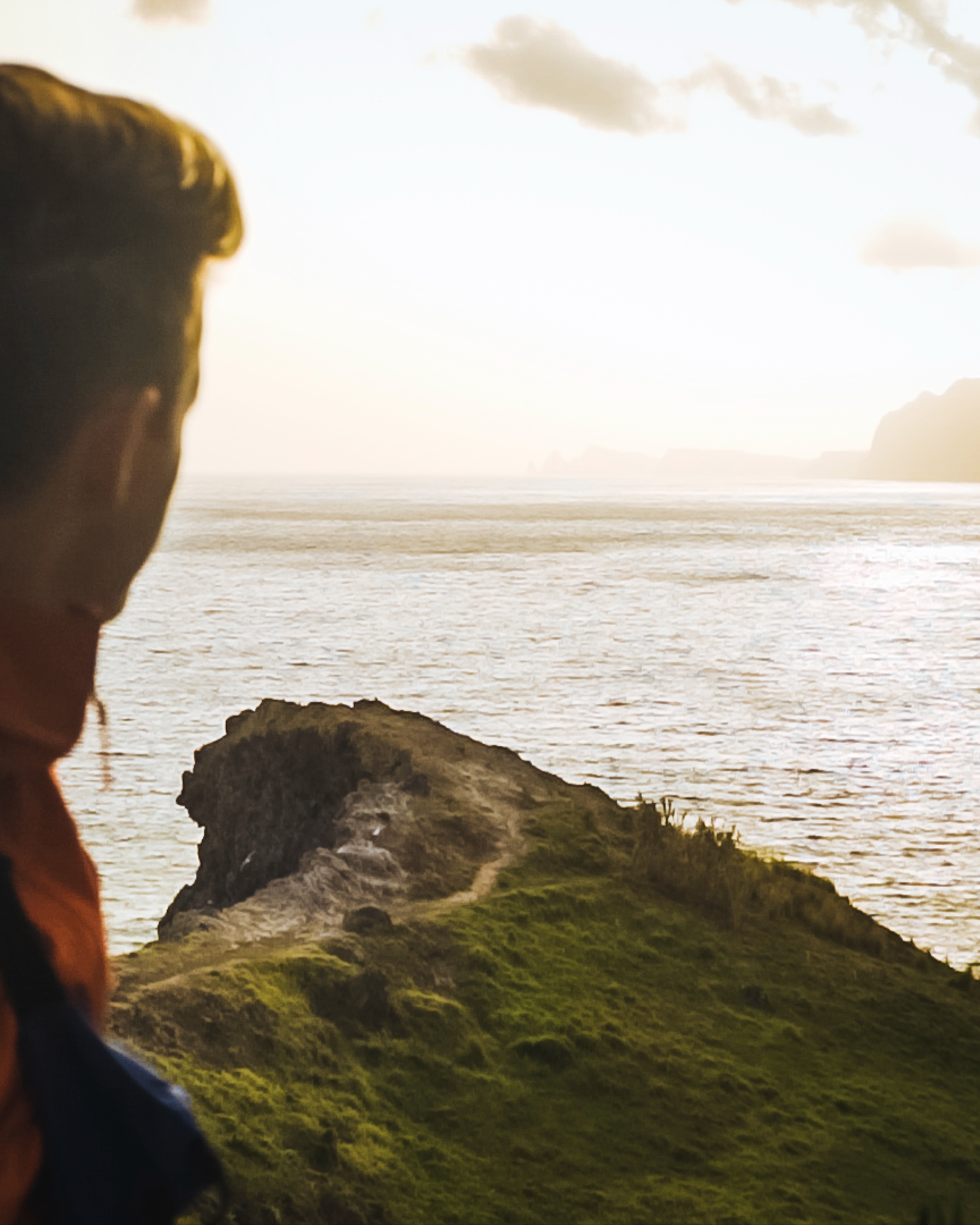 energyPRO - Use Cases